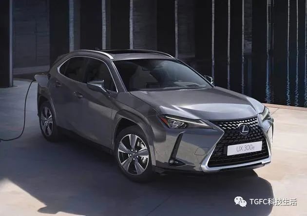 Lexusux300e store